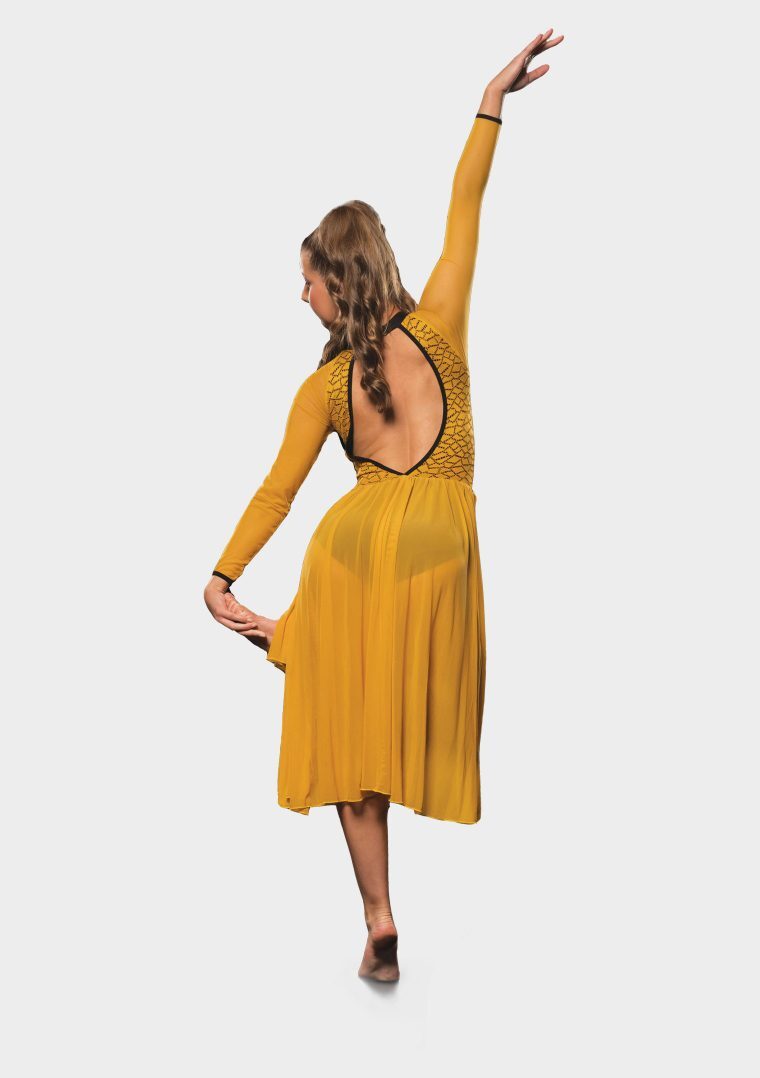Dance Costumes - Wide Choice of Dance Costumes Online